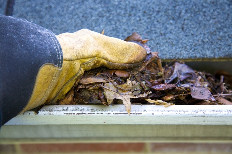 Repair or Replace Gutters: What’s Cheaper Long-Term?